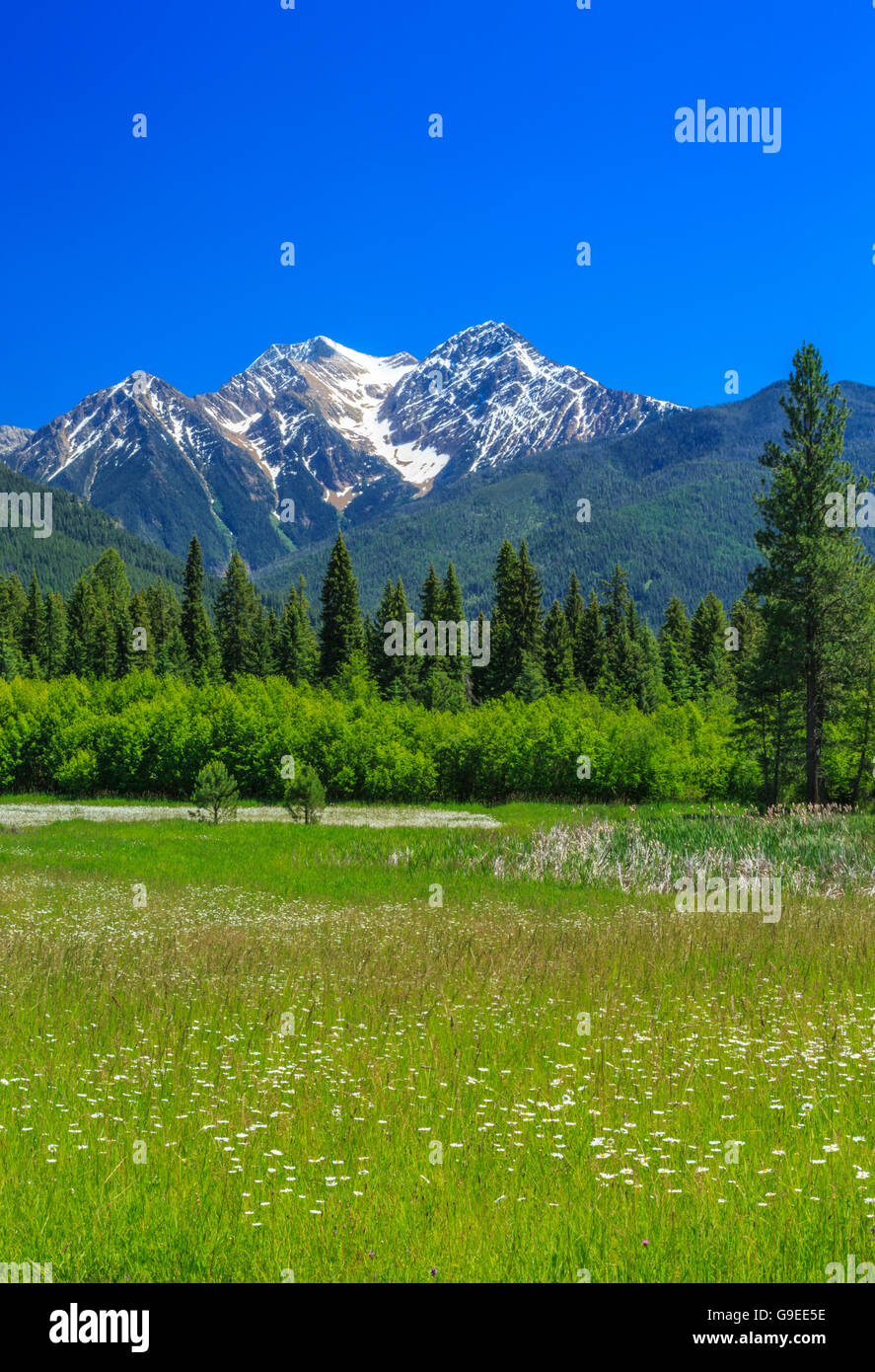 mcdonald peak in the mission mountains near ronan, montana Stock Photo ...