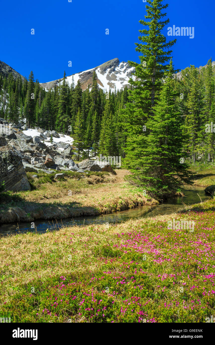 Mt d1322 hi-res stock photography and images - Alamy