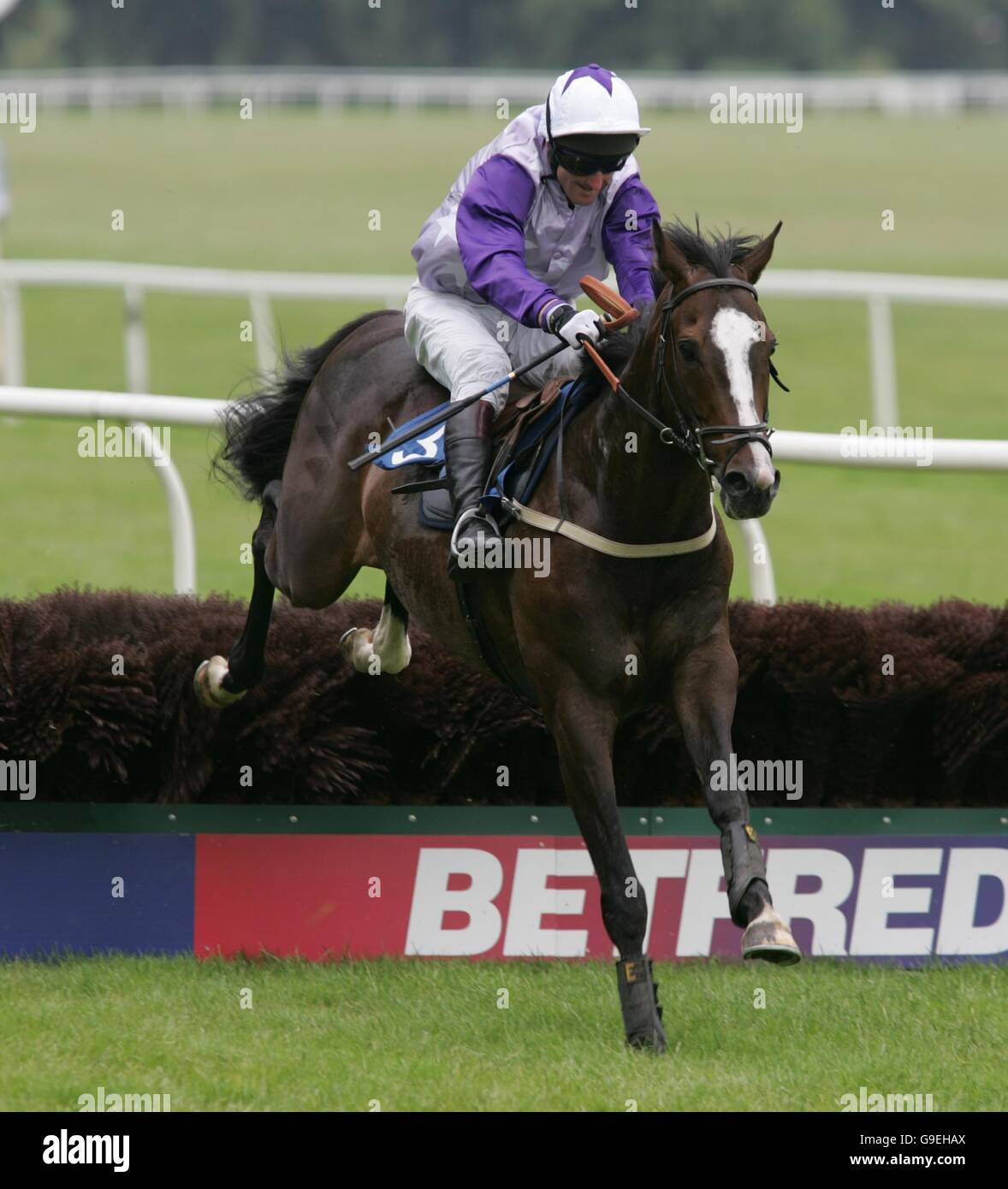 Ernie's Maite and jockey Roderick Greene at Worcester racecourse Stock ...