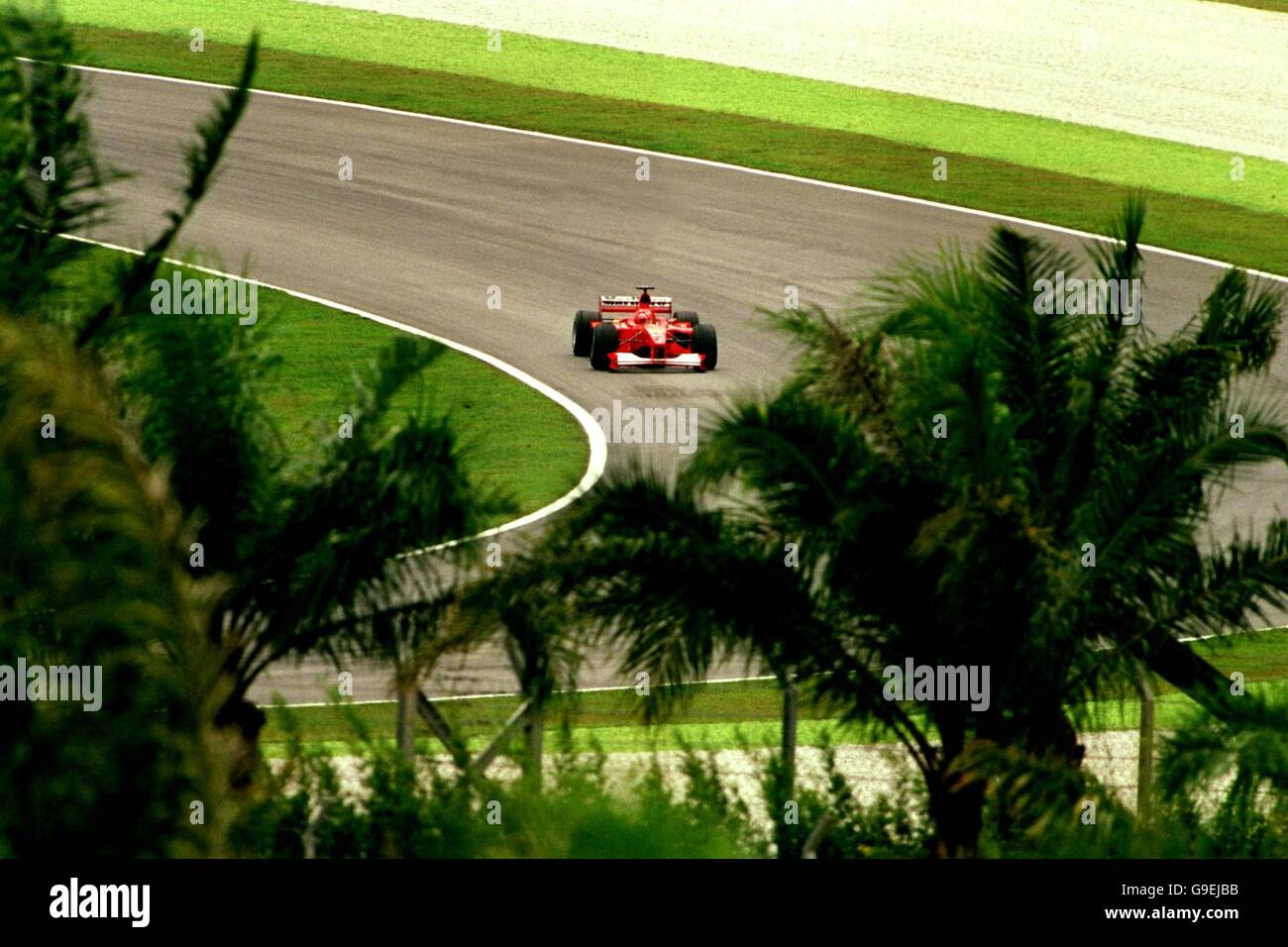 Action trees palm f1 hi-res stock photography and images - Alamy