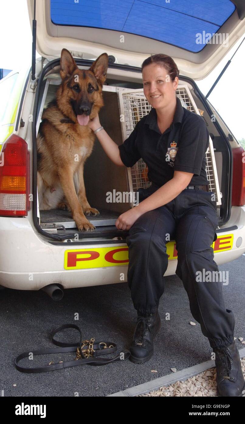 With her dog steiner at hartpury college hi-res stock photography and ...