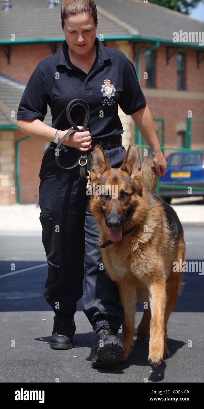 With her dog steiner at hartpury college hi-res stock photography and ...