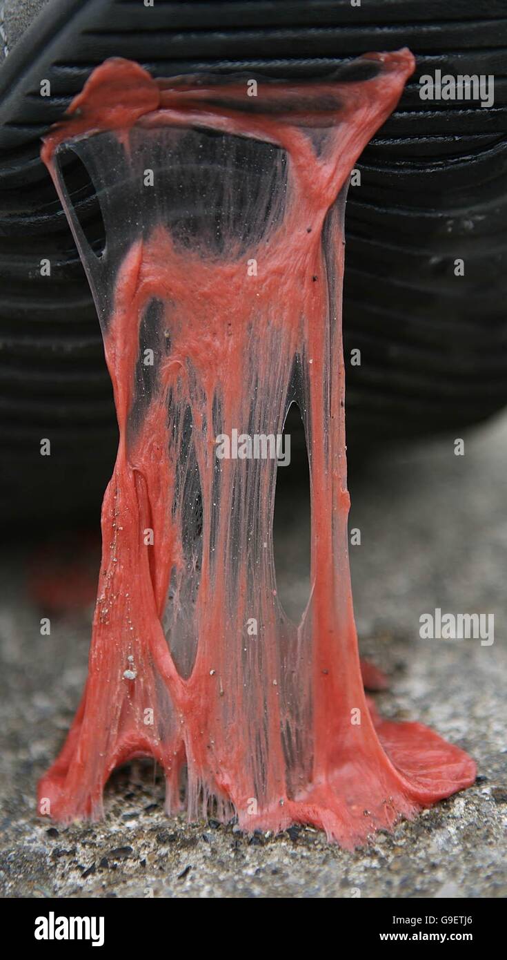 Chewing Gum Shoe High Resolution Stock Photography and Images - Alamy