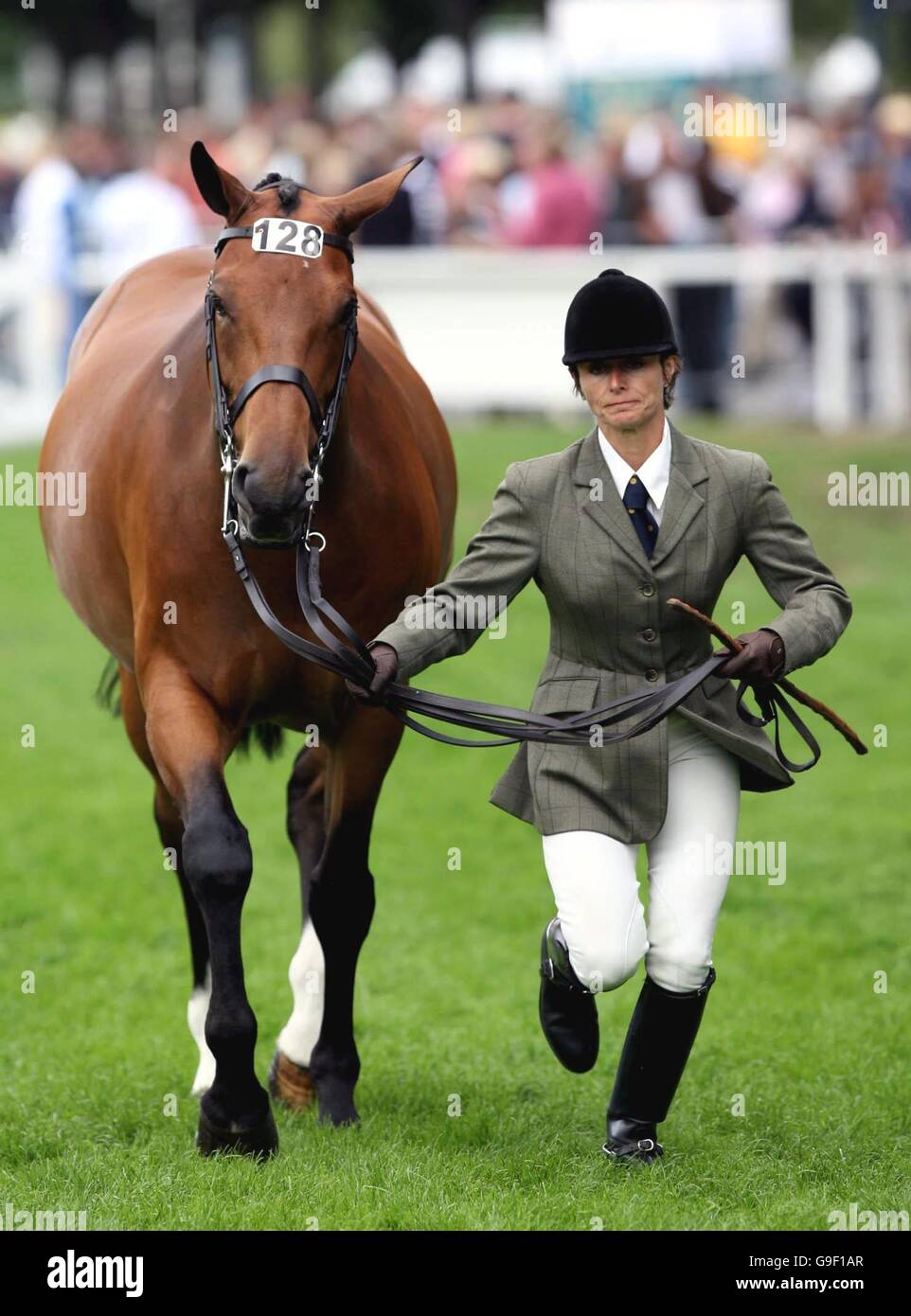 Famous Hunter Horses