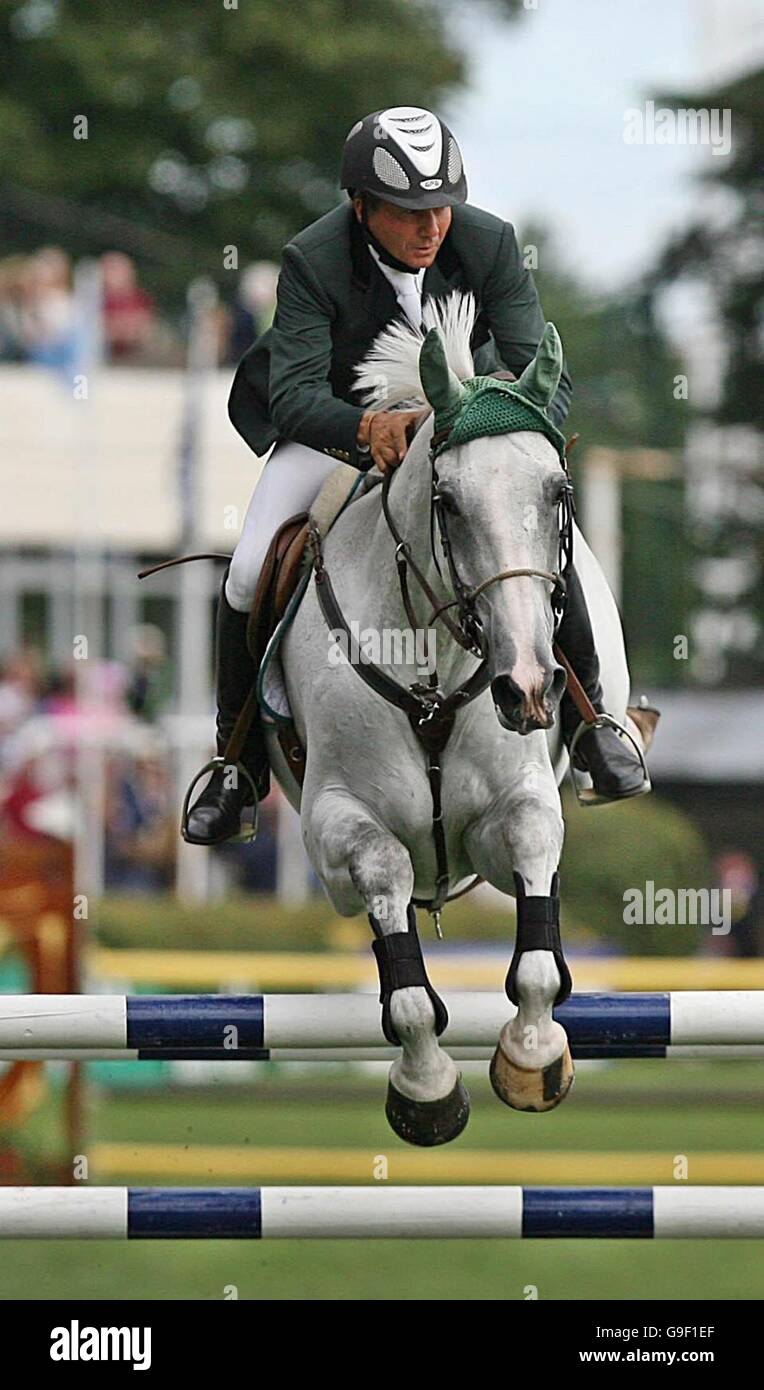 Ireland's Harry Marshall on All Shook Up during the Irish sport council ...