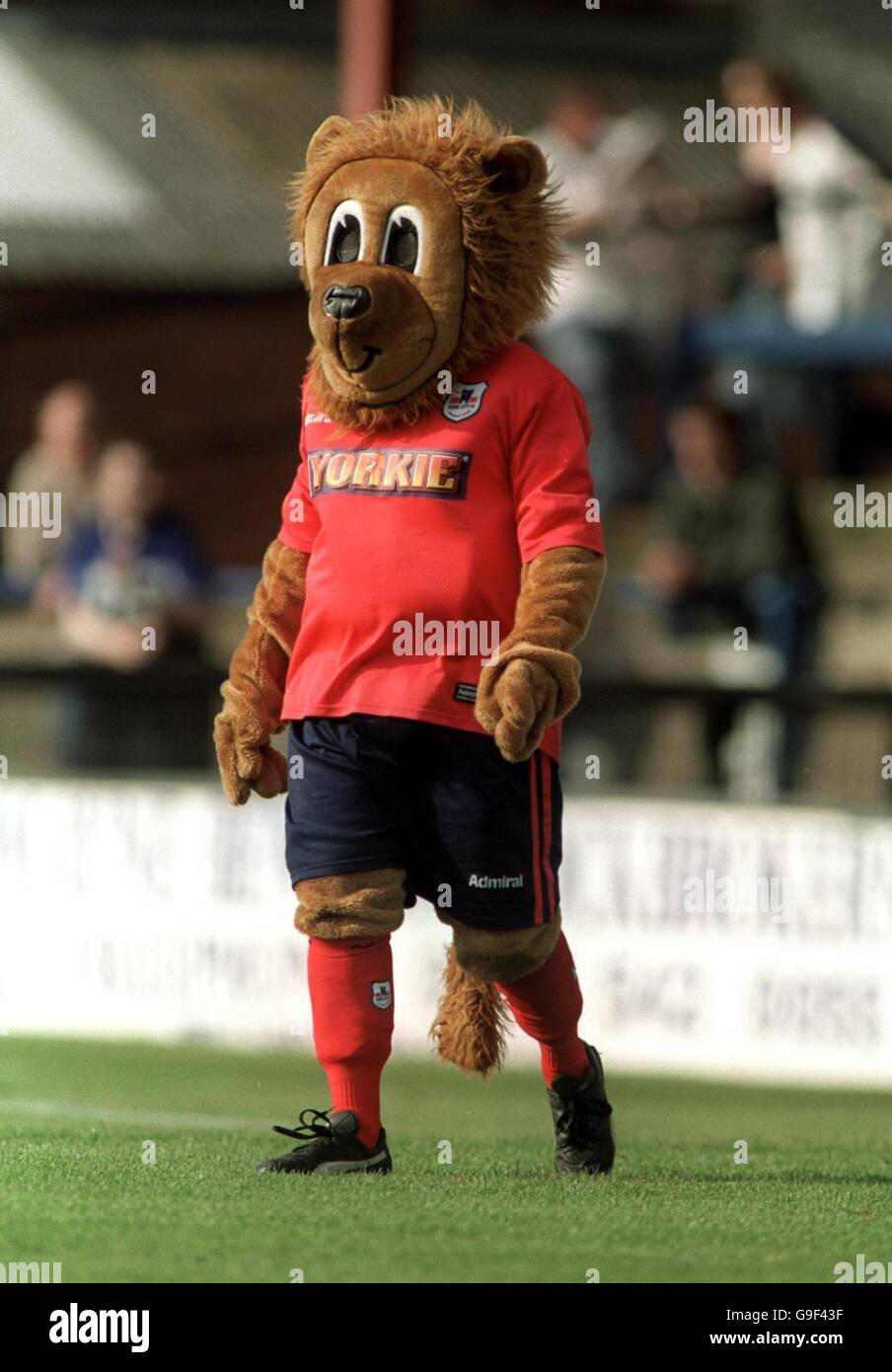 York City Mascot Yorkie The Lion High Resolution Stock Photography and ...