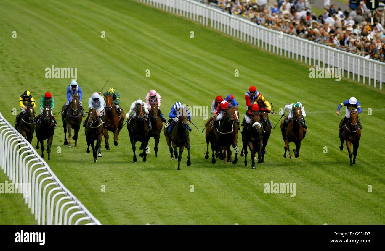 The field comes home during the Sportsman Newspaper Heritage Handicap ...