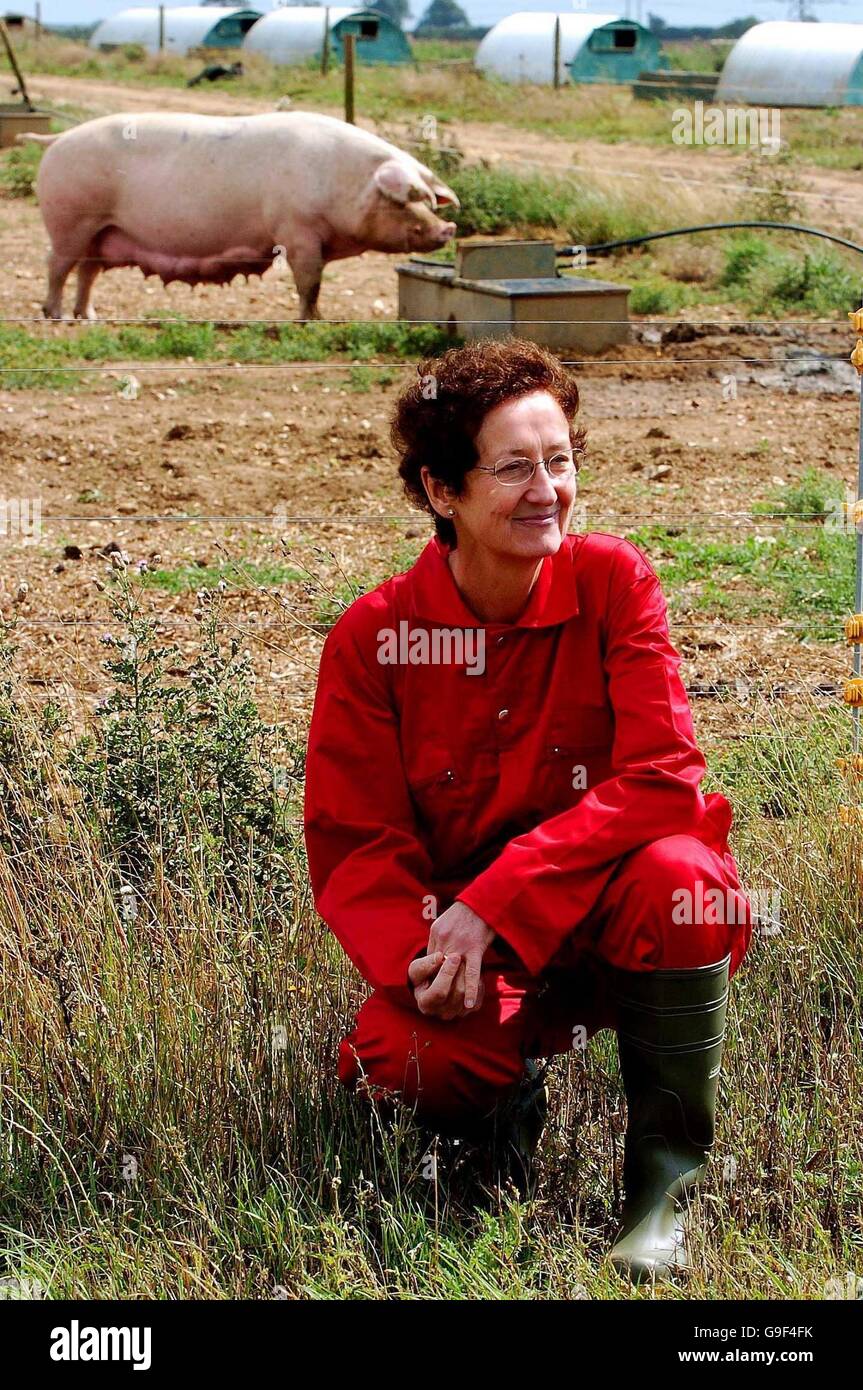 The Government's Chief Veterinary Officer Debby Reynolds visits an ...