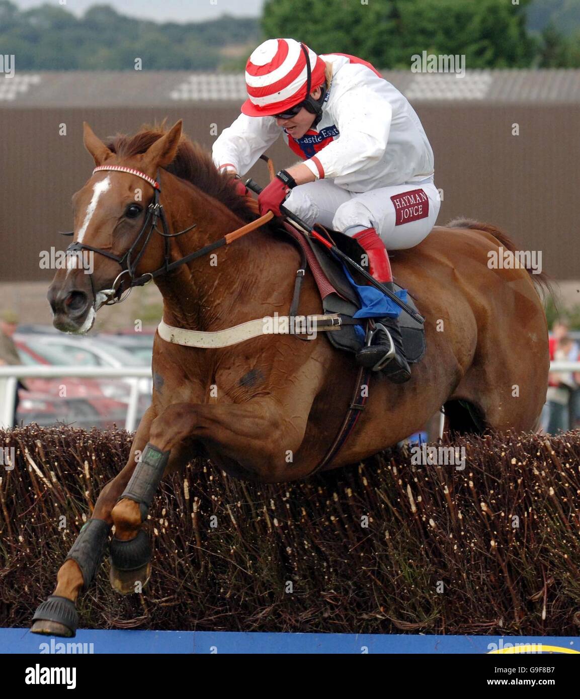 Sento and jockey Robert Thornton jump the last fence and go on to win ...