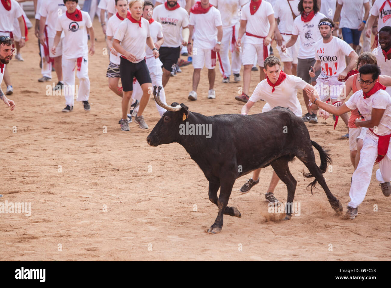 Running of bulls through streets of Pamplona,Spain Stock Photo - Alamy
