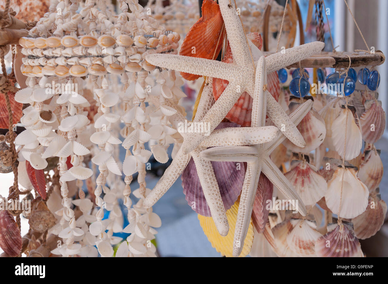 Collection of shells for sale in shop, Pothia (Pothaia), Kalymnos, The ...