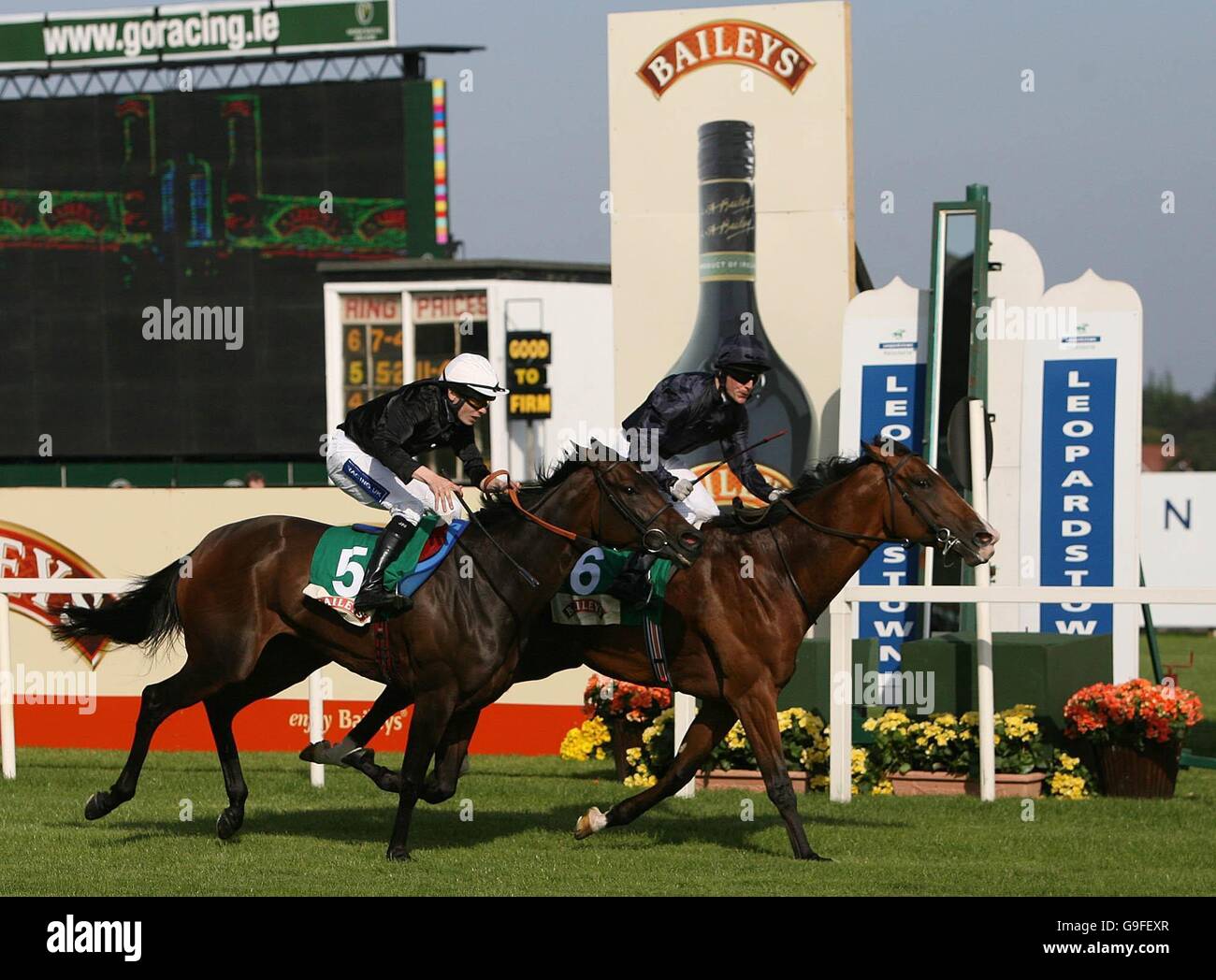 Racing - Leopardstown - Ireland Stock Photo - Alamy