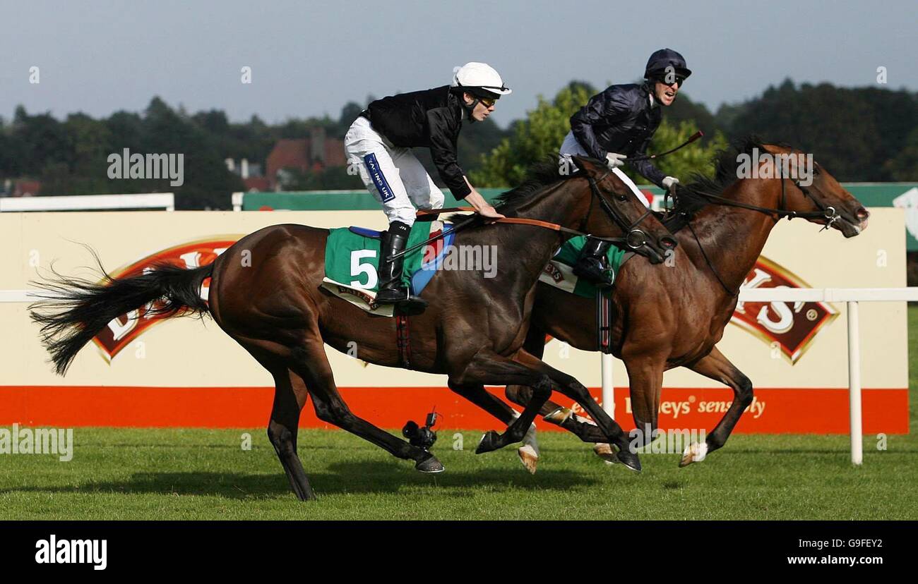 Racing - Leopardstown - Ireland Stock Photo - Alamy
