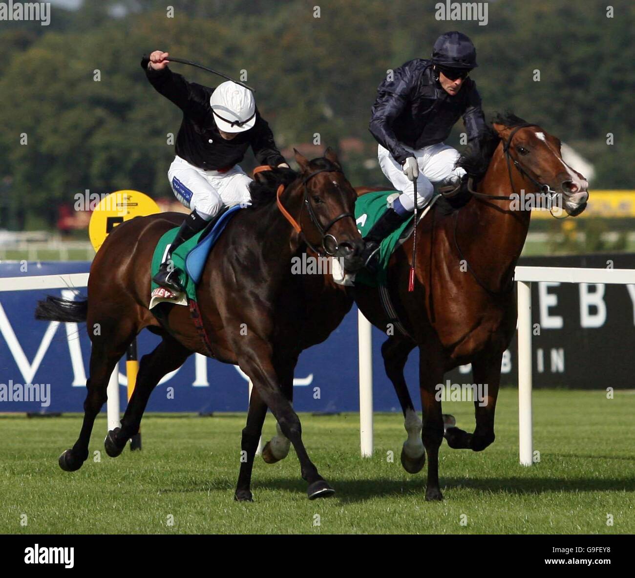 Racing - Leopardstown - Ireland Stock Photo - Alamy