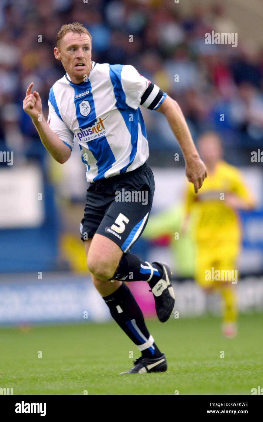 Sheffield Wednesday's Graham Coughlan Stock Photo - Alamy