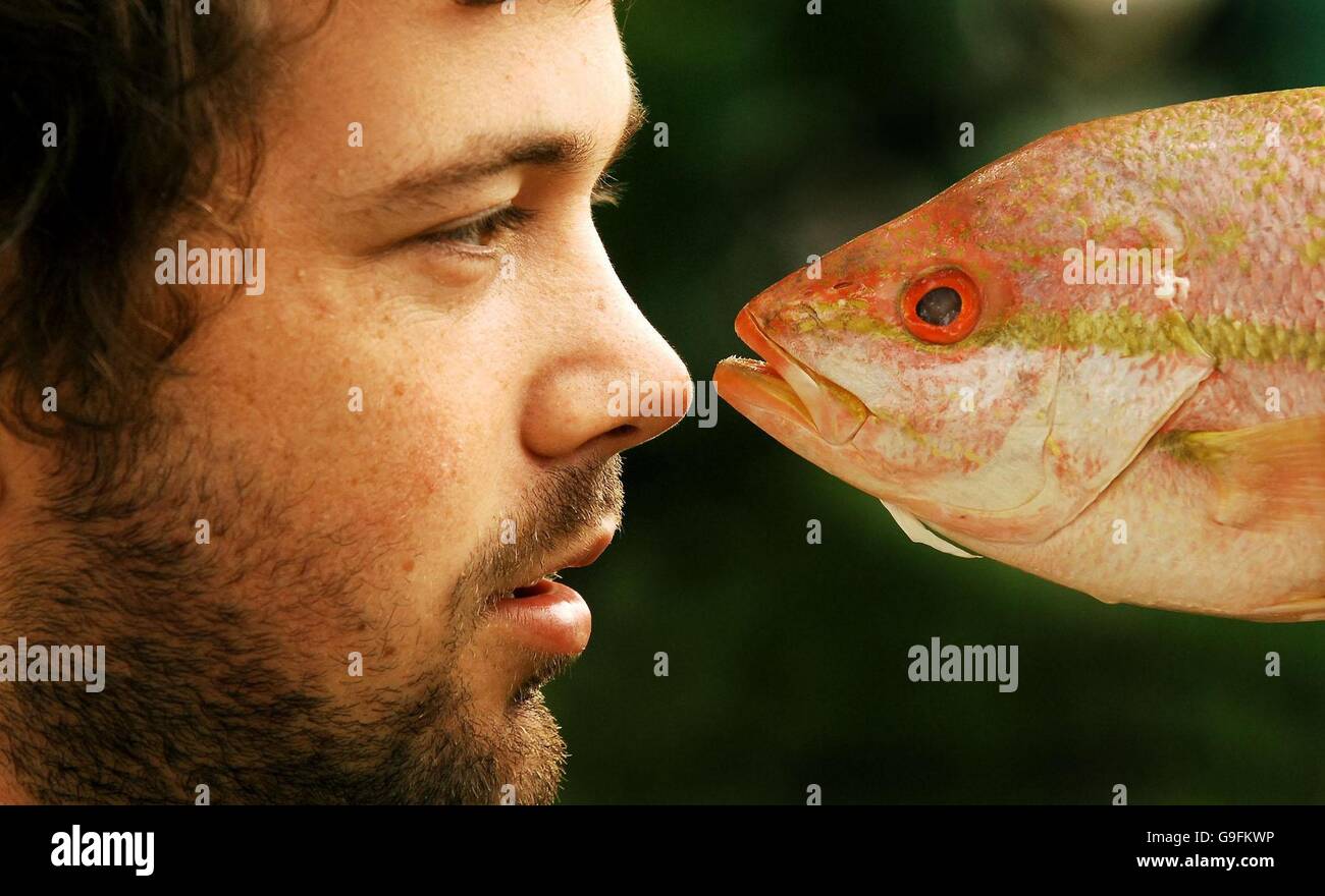 Man auctions slap in face with wet fish Stock Photo - Alamy