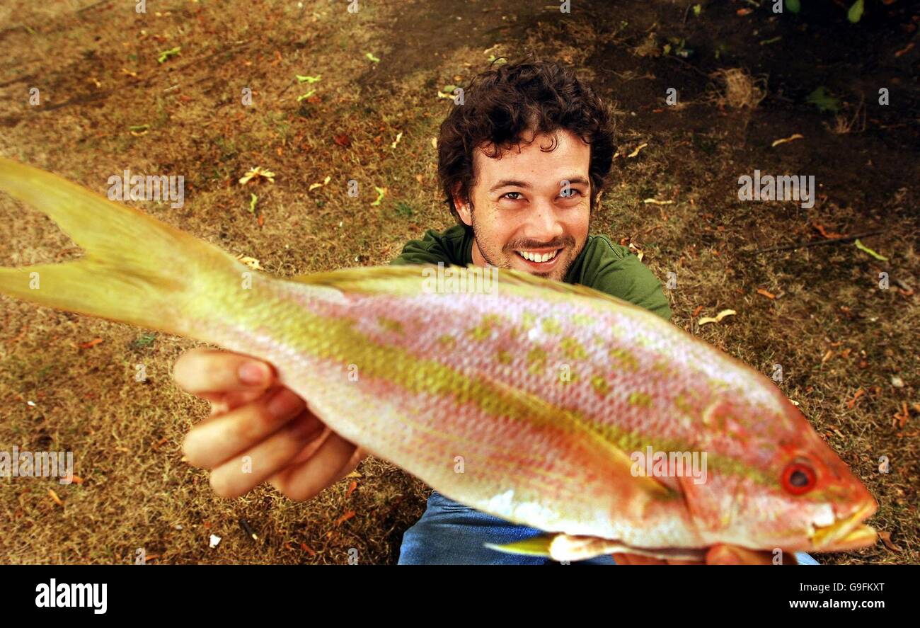 Man auctions slap in face with wet fish Stock Photo - Alamy