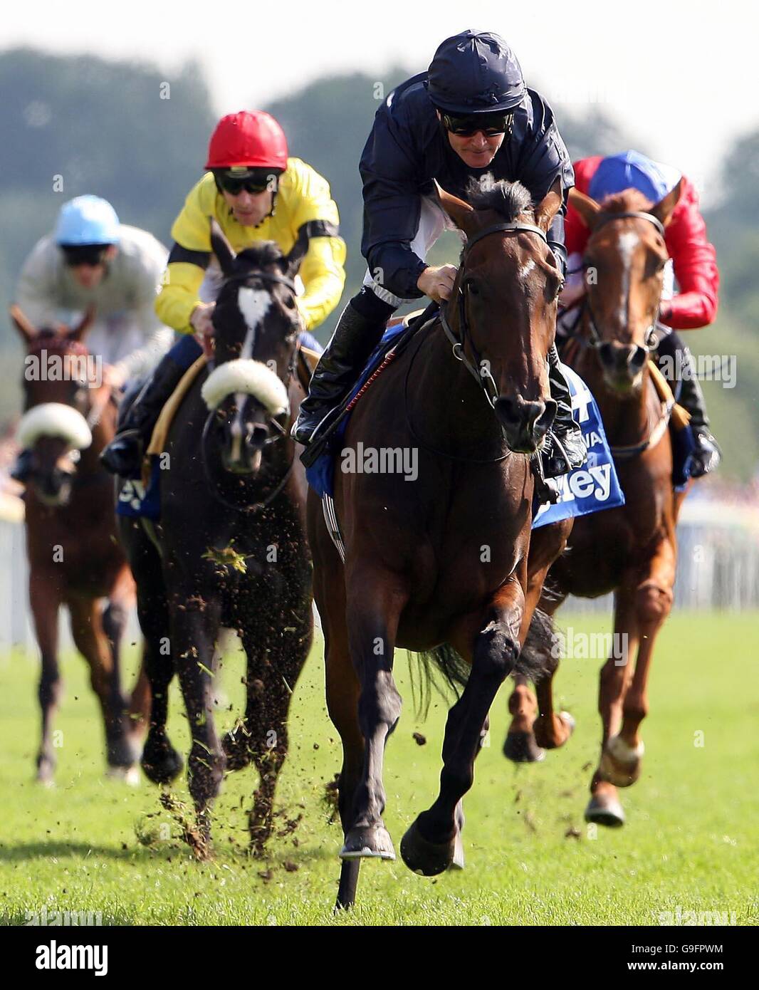 Racing - York - Day Stock Photo - Alamy