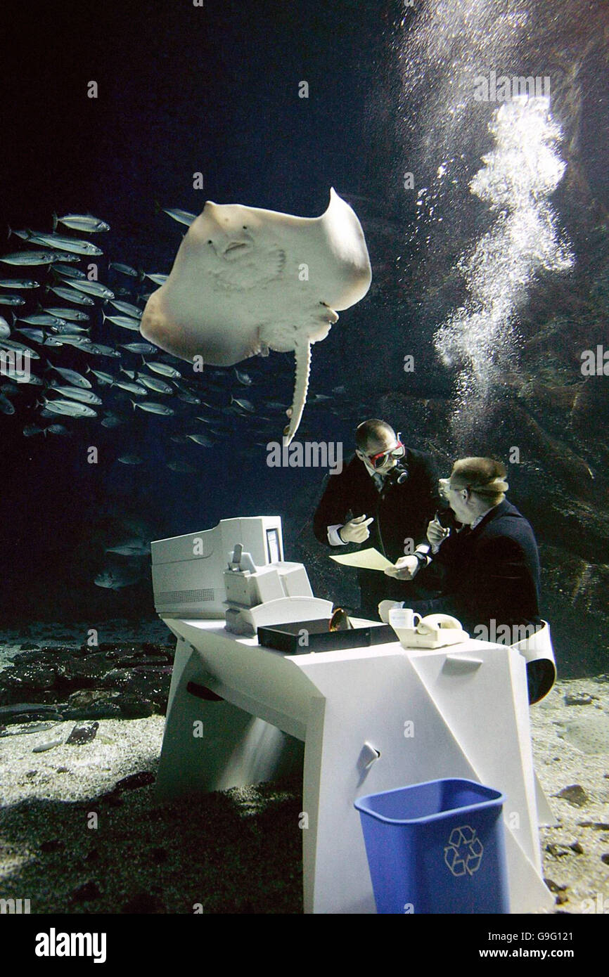 An underwater office which has been created at the London Aquarium by ...