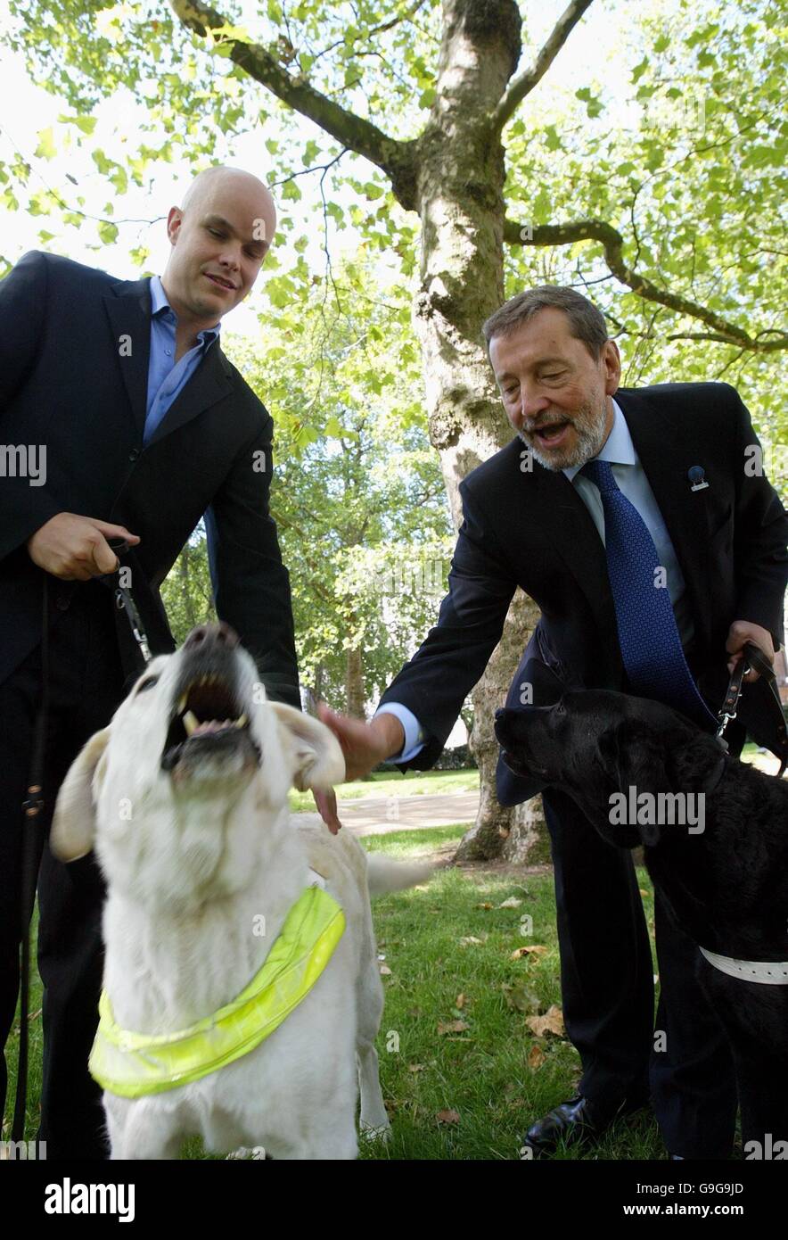 Larry, the golden retriever labrador cross with his owner Mark Pollock ...