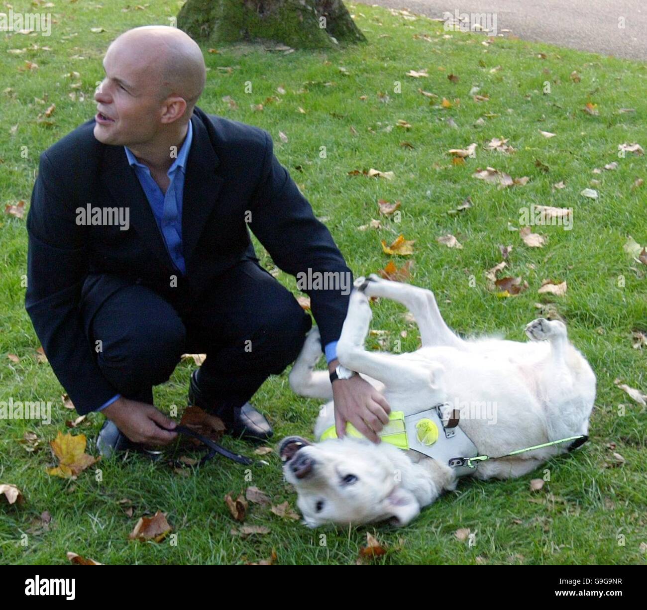 Labrador retriever guide london hi-res stock photography and images - Alamy