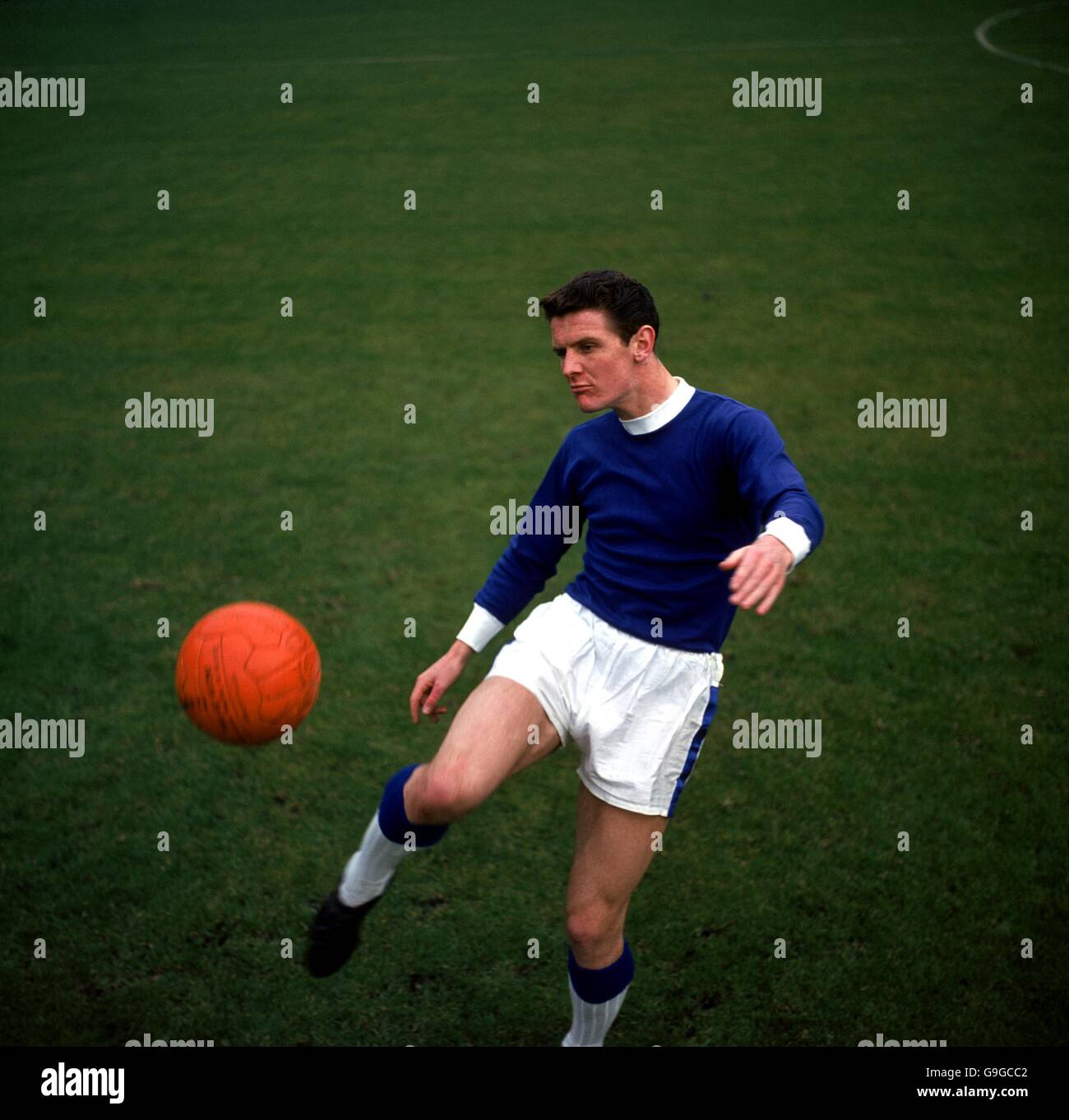 Labone hi-res stock photography and images - Alamy