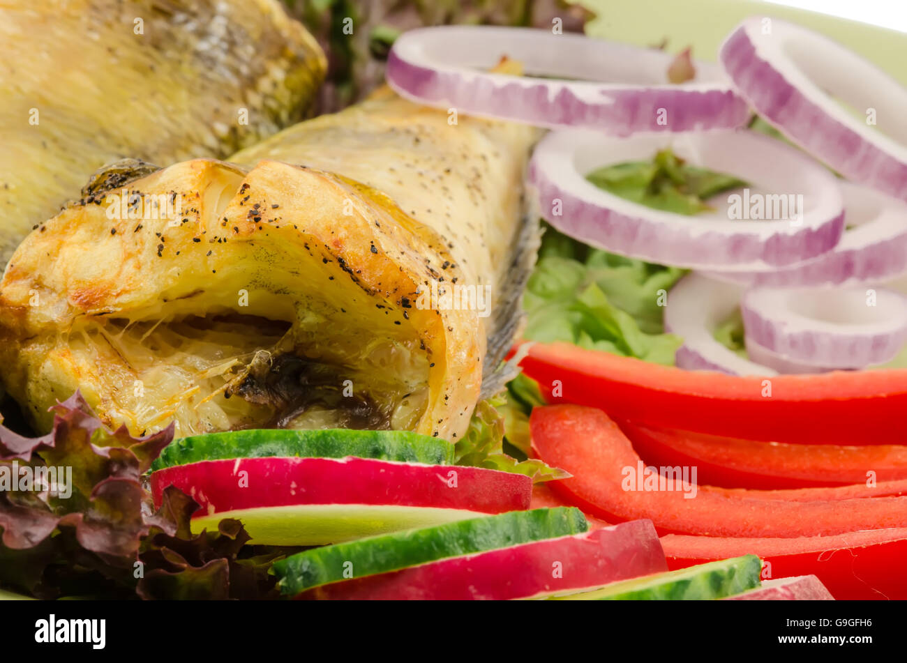 Shad Fish High Resolution Stock Photography and Images - Alamy