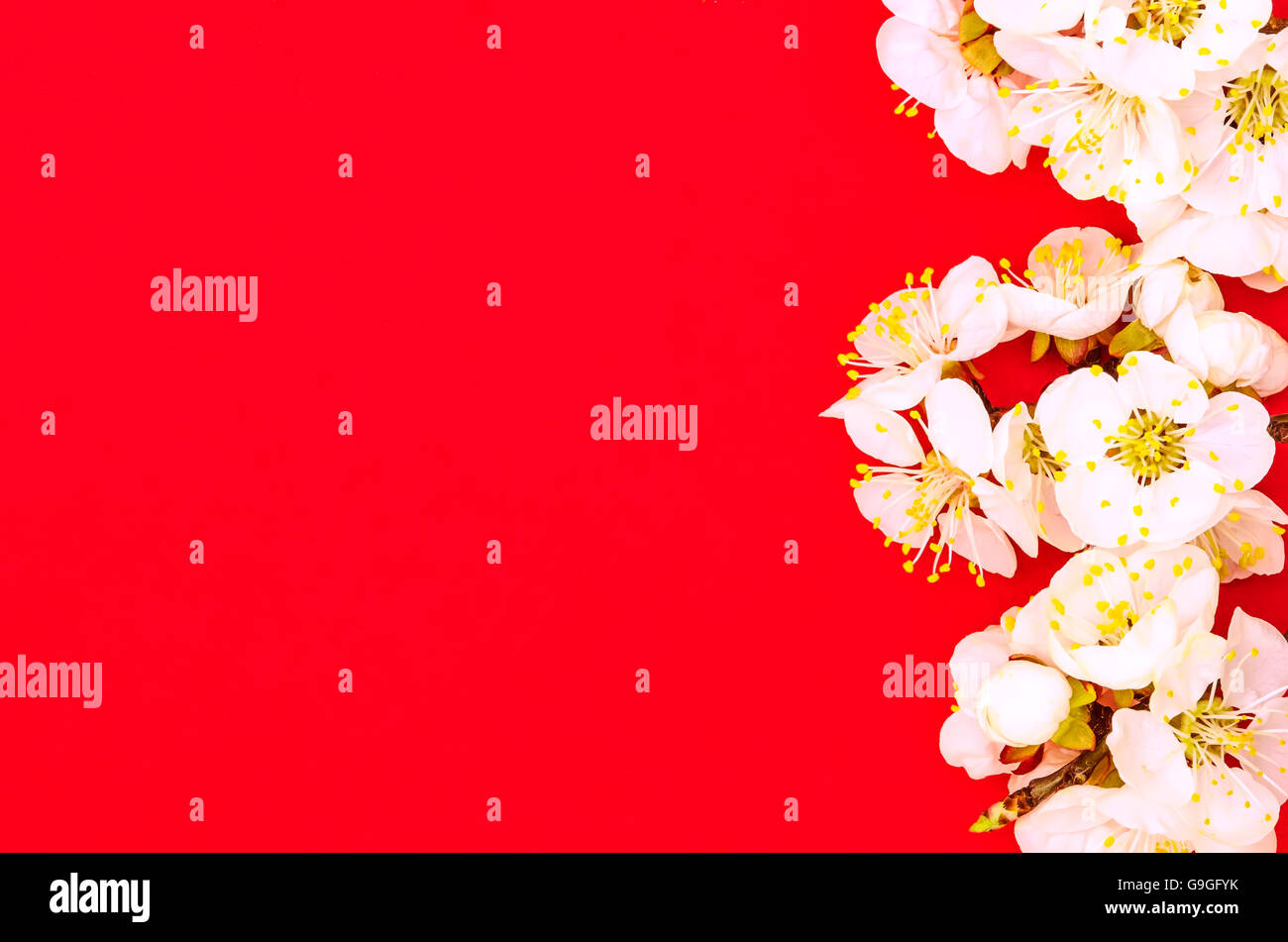 Apricot red hi-res stock photography and images - Alamy