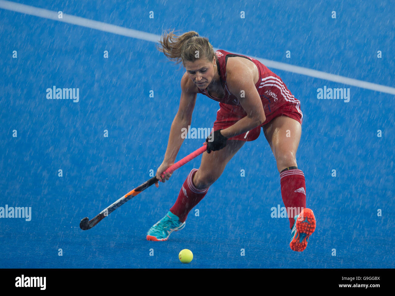 Twigg hi-res stock photography and images - Alamy