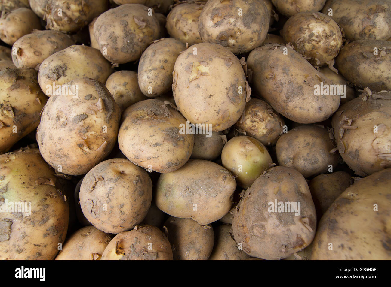 Market potatoes group vegetable hi-res stock photography and images - Alamy
