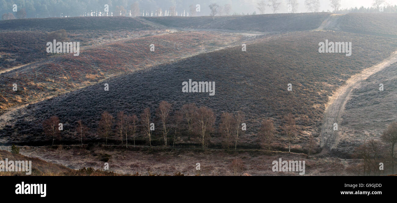 Cannock chase sherbrook valley hi-res stock photography and images - Alamy