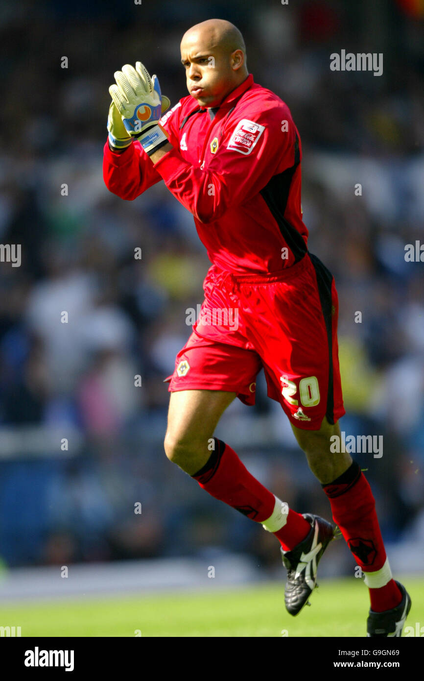 Matt murray wolves hi-res stock photography and images - Alamy