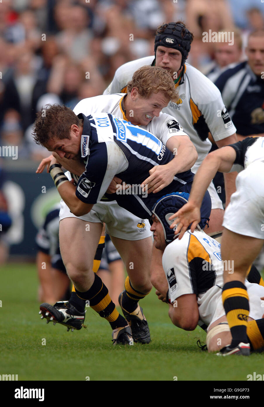 Get through wasps defence hi-res stock photography and images - Alamy