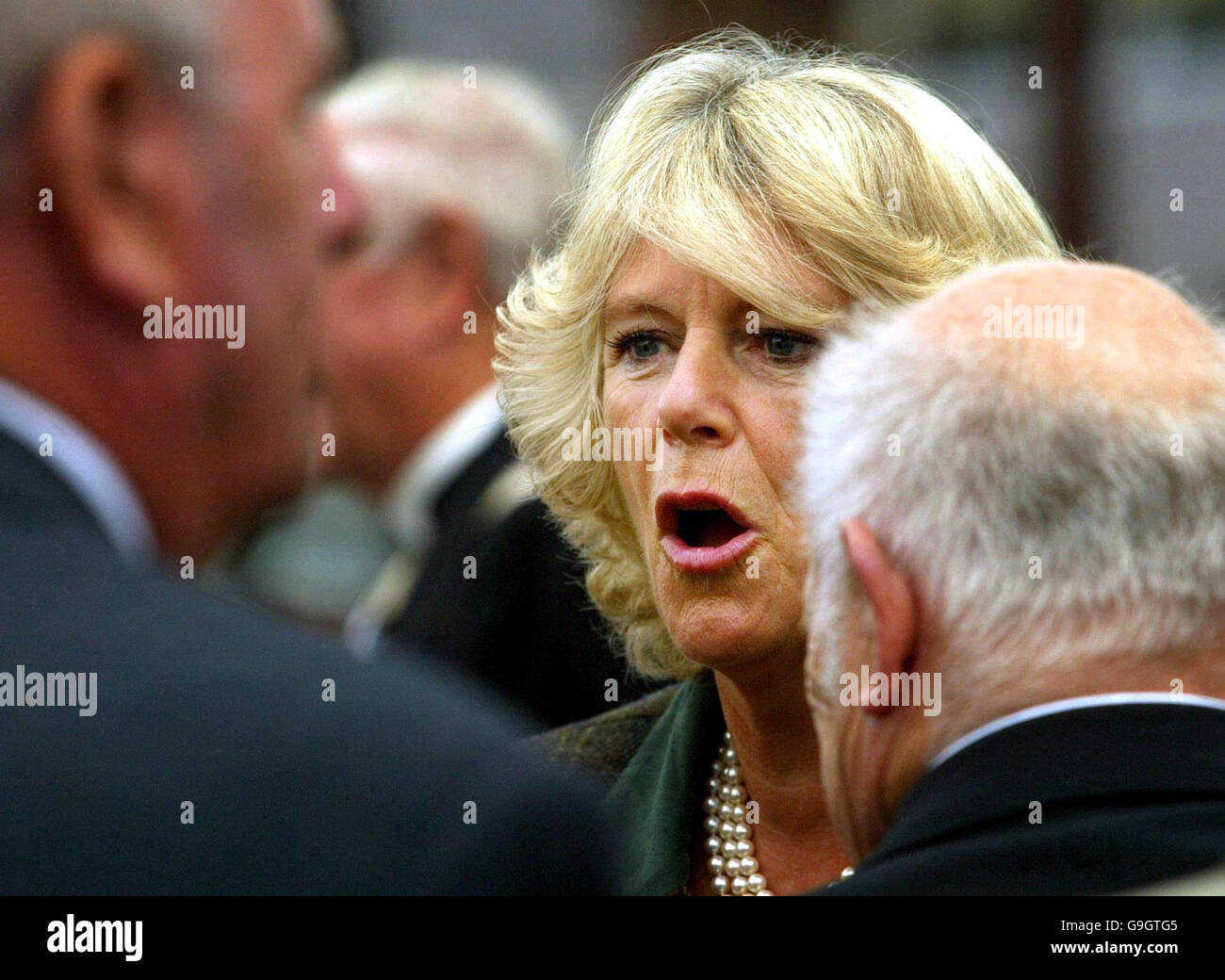 Charles alfred anderson hi-res stock photography and images - Alamy