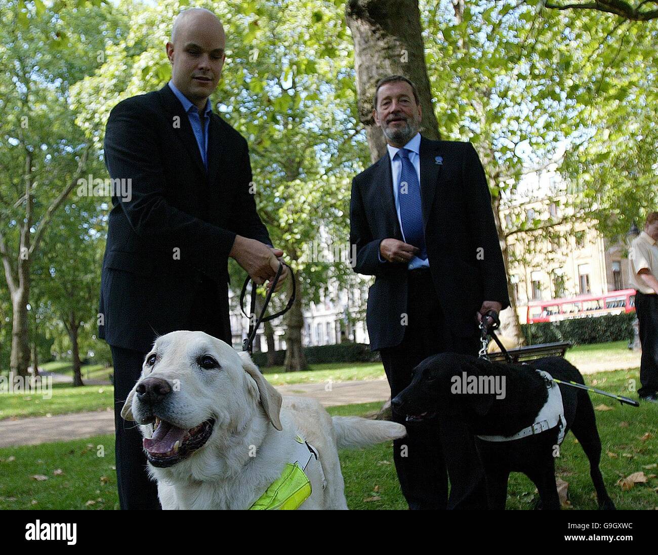 Guide Dog of the Year awards Stock Photo - Alamy