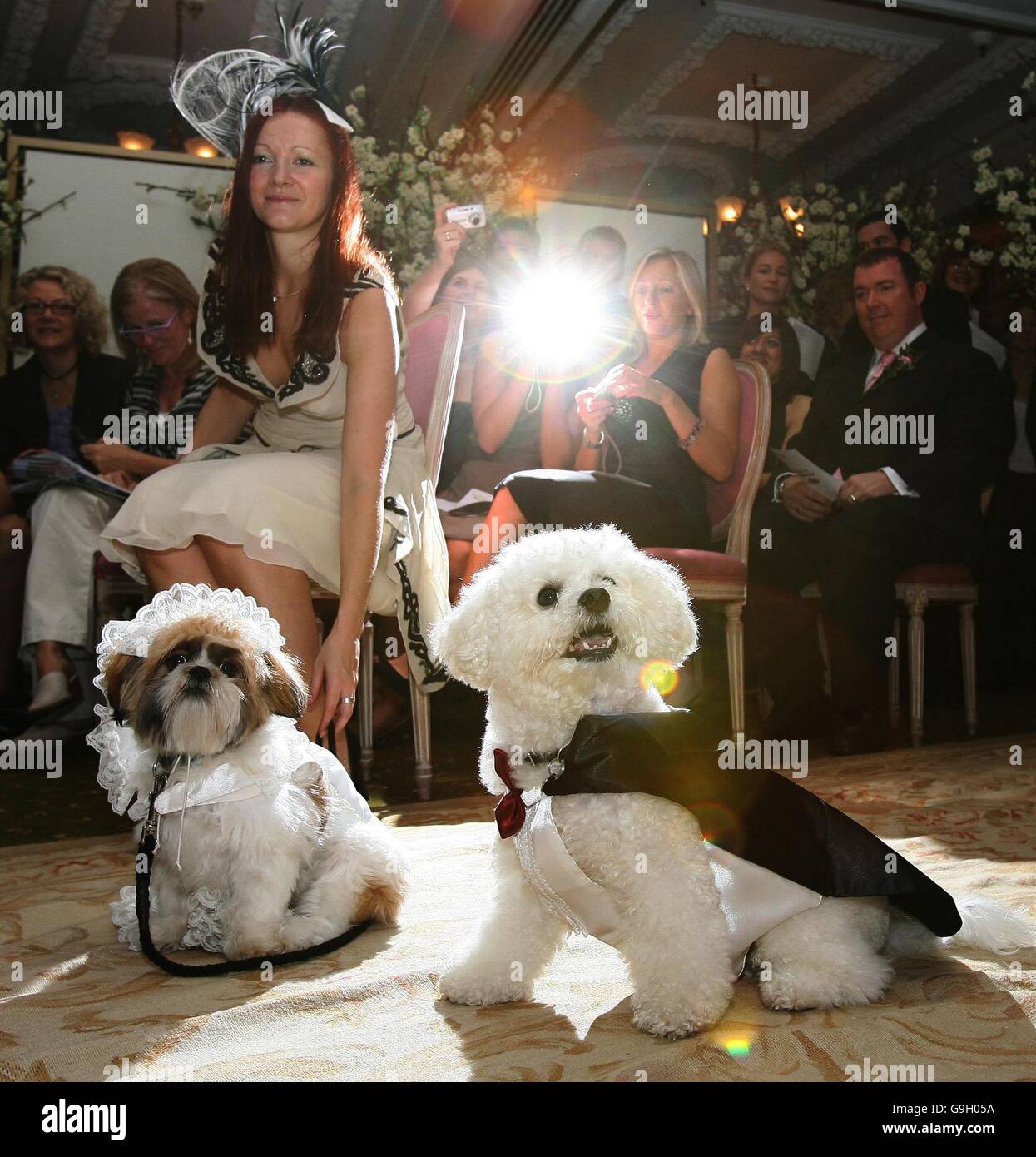 Do Harrods Still Sell Puppies