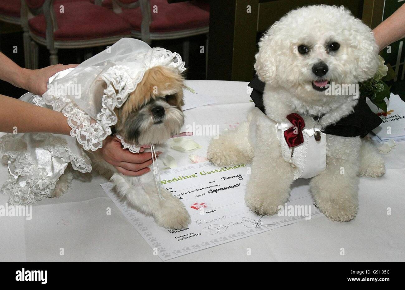 When Did Harrods Stop Selling Dogs