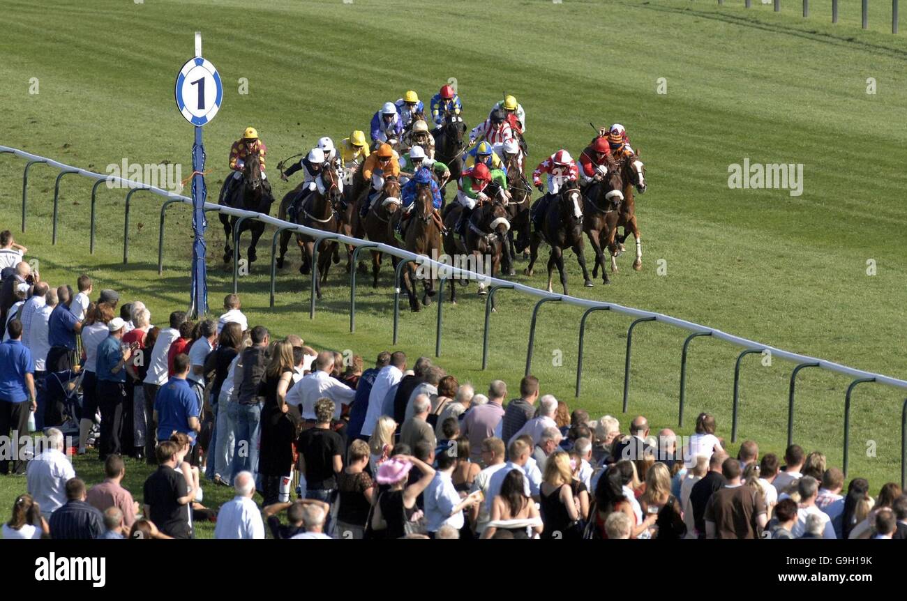 Ayr racecourse finishing line hi-res stock photography and images - Alamy