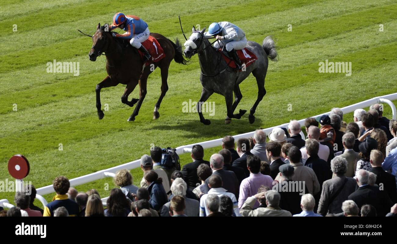 Racing - Curragh Stock Photo - Alamy