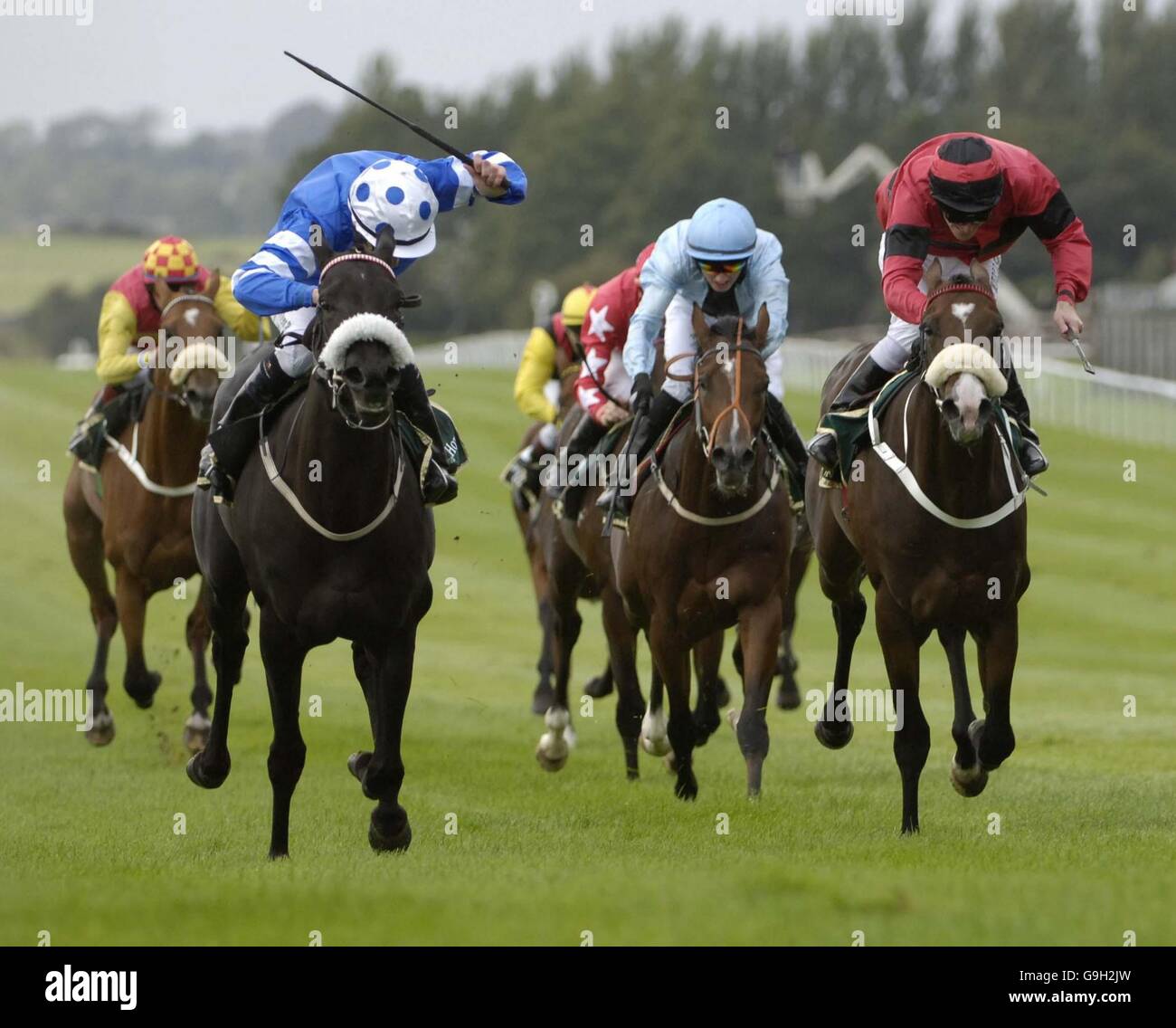 Racing - Curragh Stock Photo - Alamy