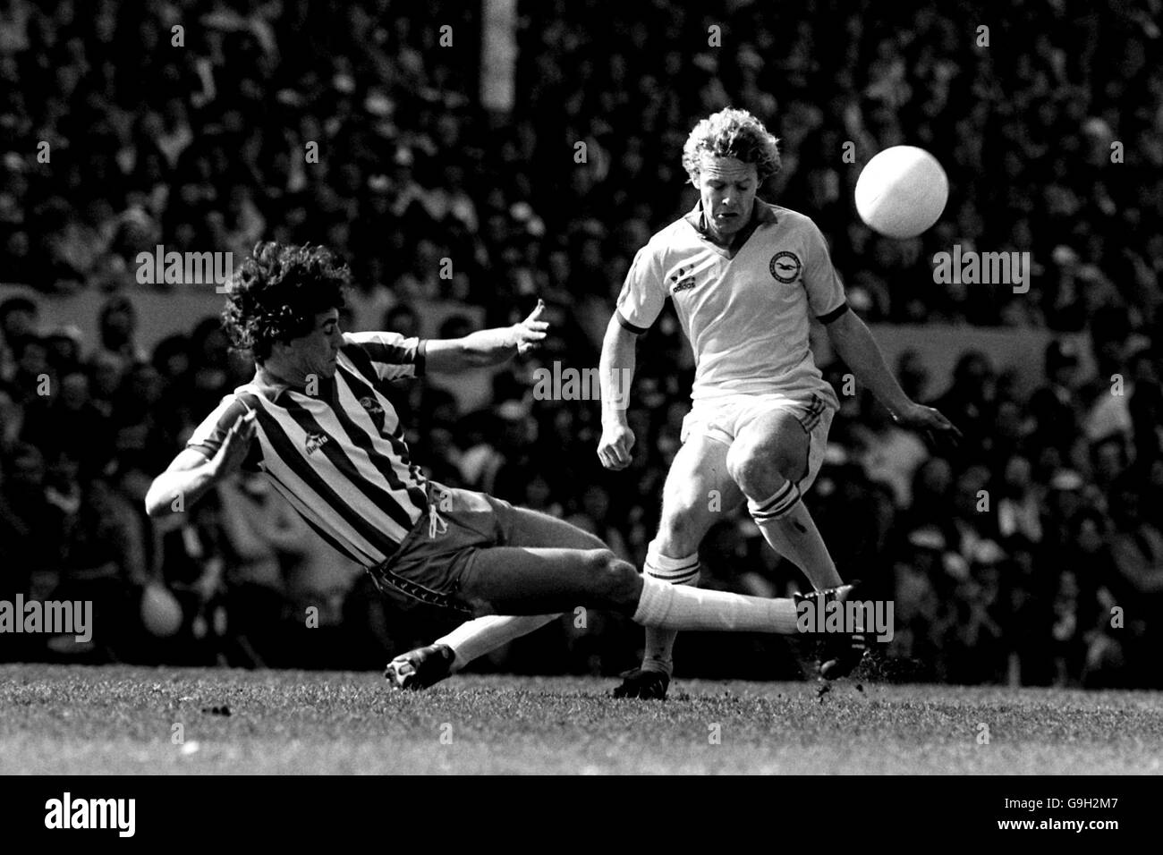 Mark smith sheffield wednesday hi-res stock photography and images - Alamy