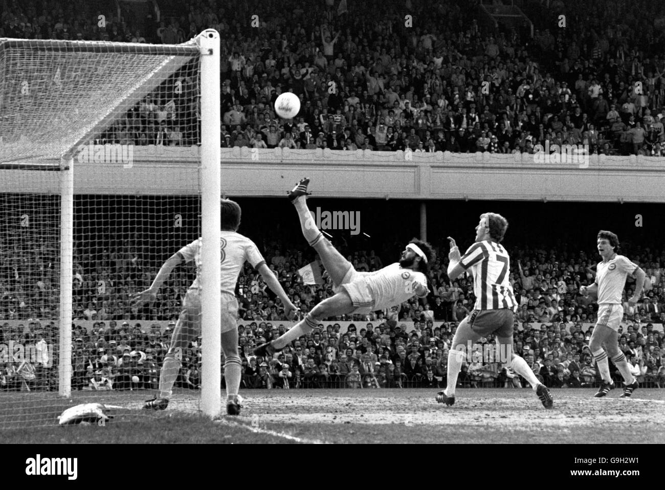 Steve foster brighton hi-res stock photography and images - Alamy