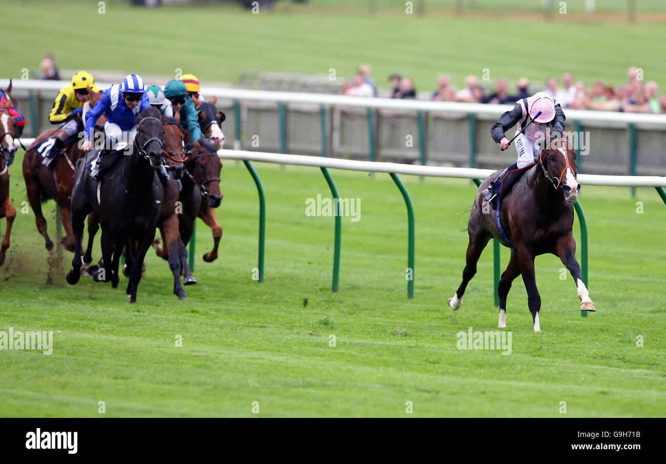 Newmarket racecourses hi-res stock photography and images - Alamy