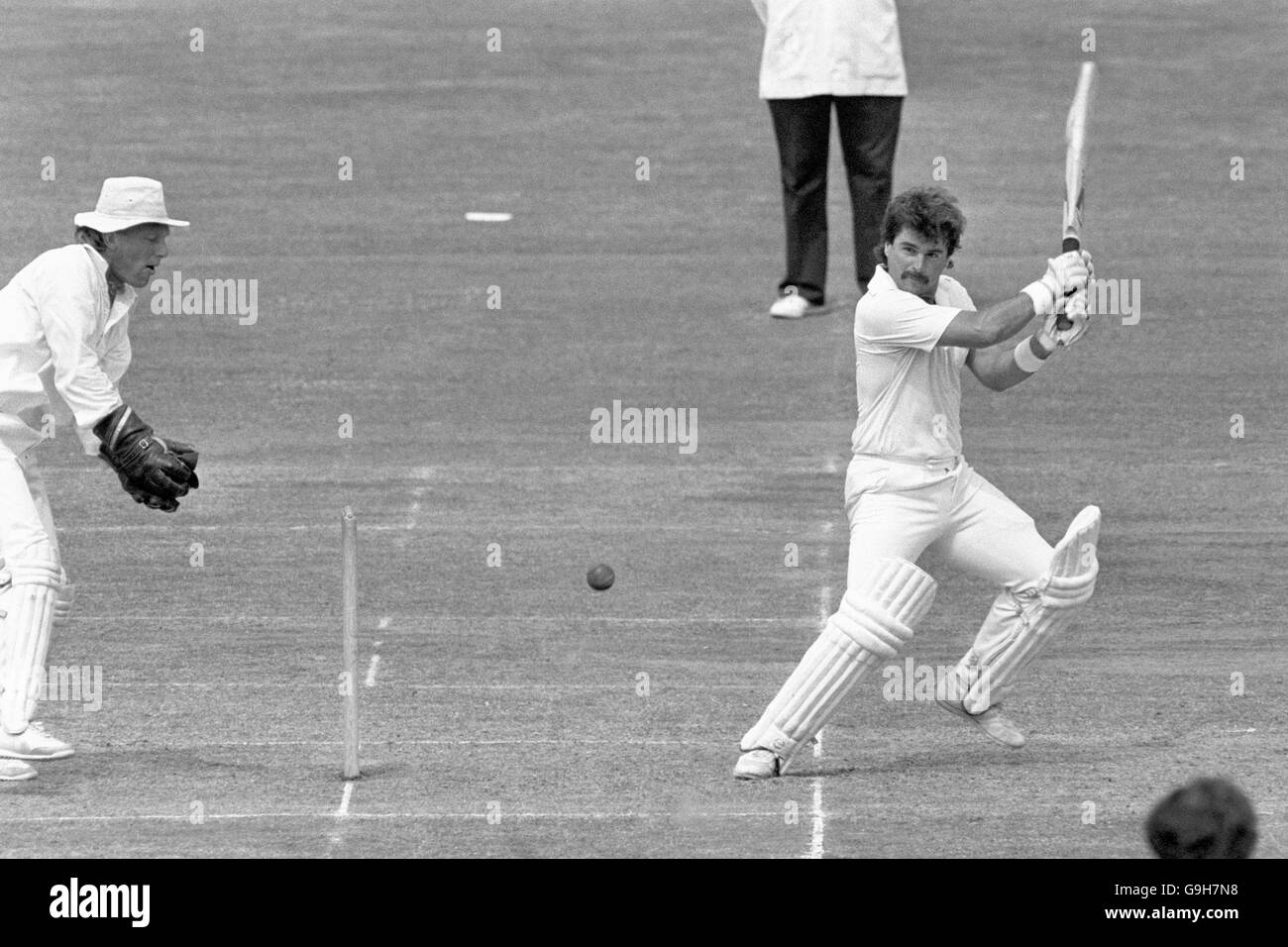 Cricket lamb Black and White Stock Photos & Images - Alamy