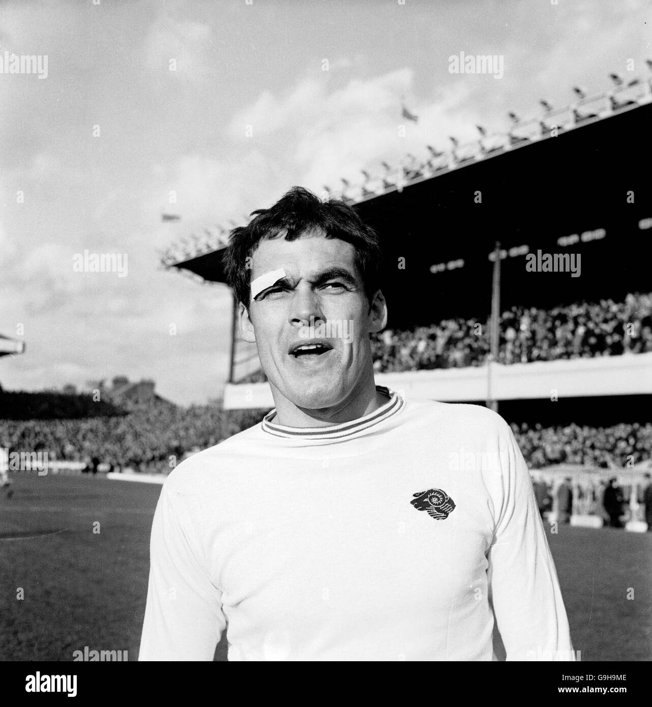 Wignall hi-res stock photography and images - Alamy