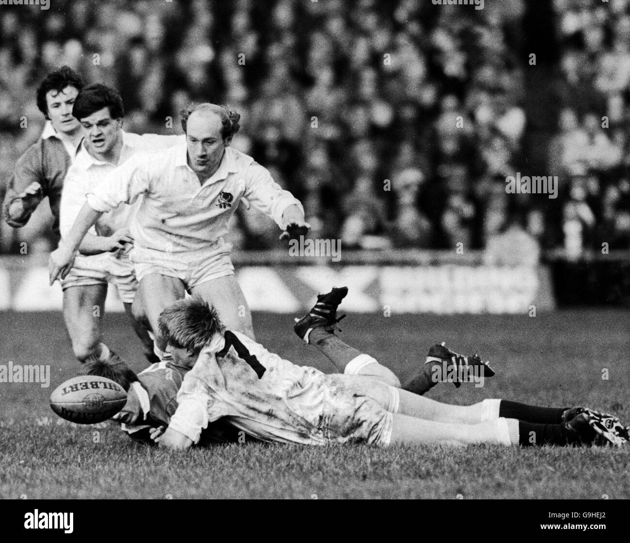 Peter winterbottom rugby hi-res stock photography and images - Alamy