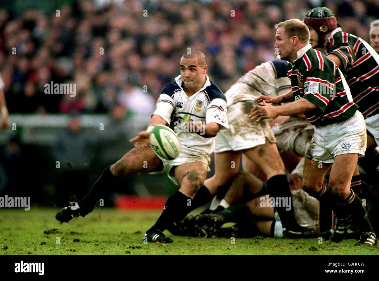 Sililo martens hi-res stock photography and images - Alamy