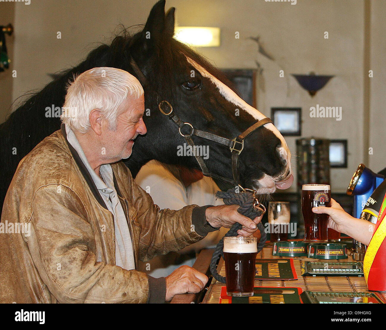 Peter Dolan with cart horse Peggy as she enjoys a pint of John Smith's ...