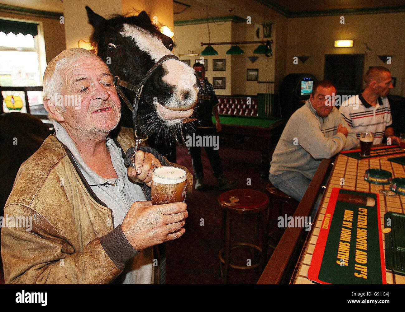 Peter Dolan with cart horse Peggy as she enjoys a pint of John Smith's ...