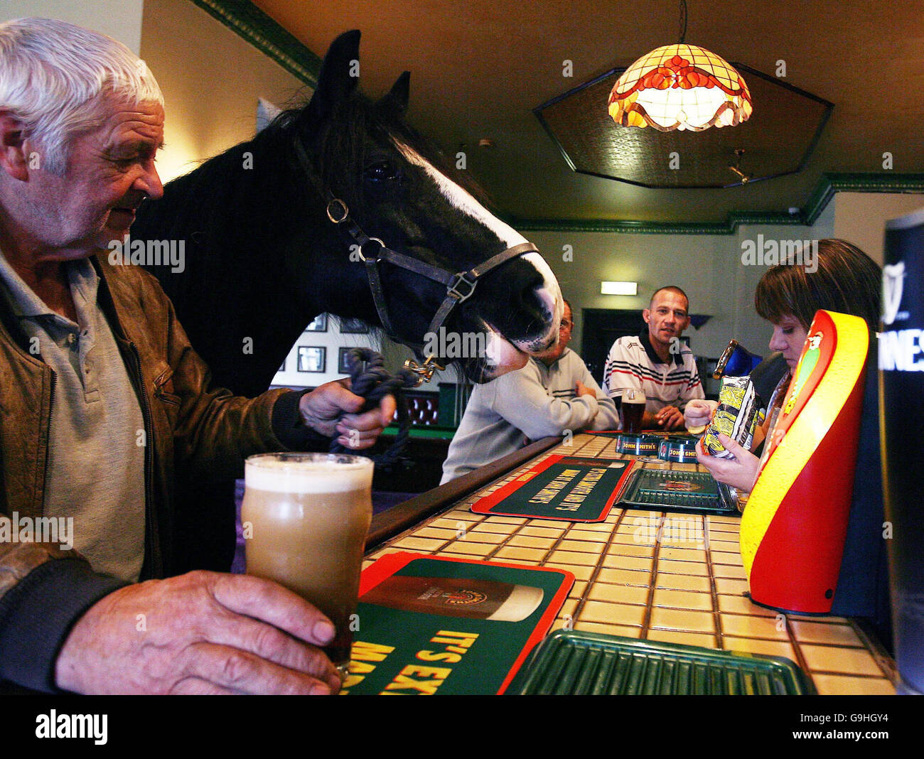 Peter Dolan with cart horse Peggy as she enjoys a pint of John Smiths ...